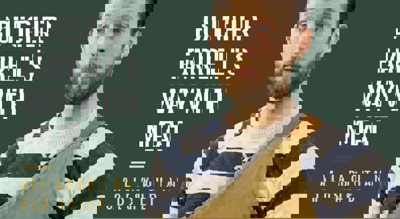 Butcher Farrell's Way with Meat: All About an Old Sheep